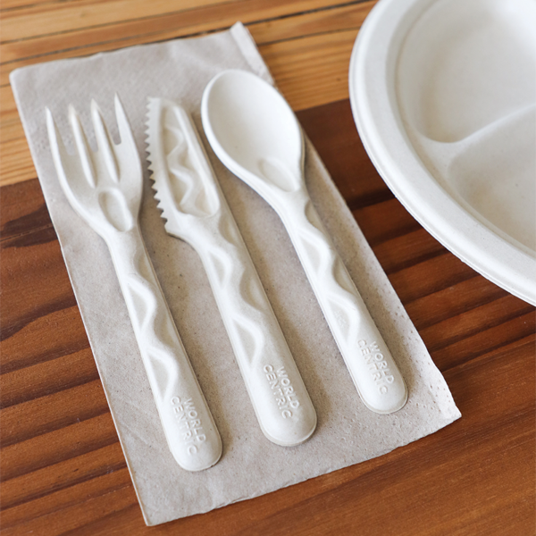 6" Fiber Spoon - World Centric